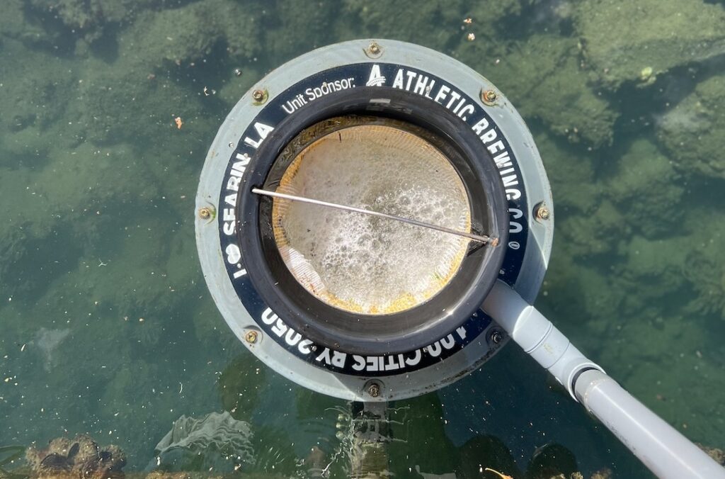 Seabin, il cestino galleggiante che ripulisce l'acqua • Futoora
